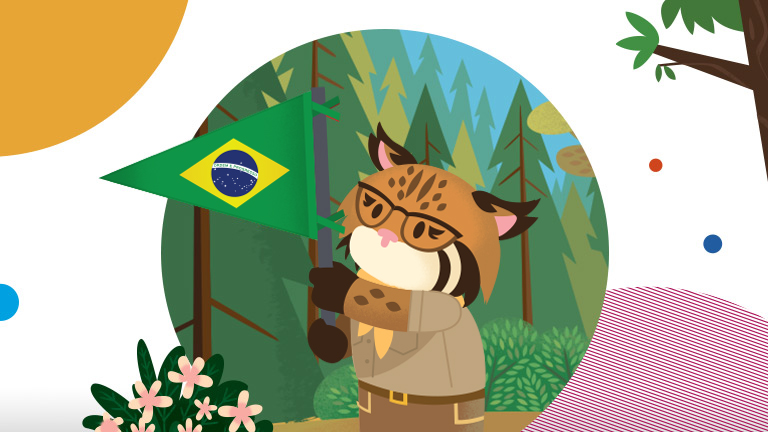 Salesforce Brasil: Juntos, conectamos as empresas aos seus clientes.